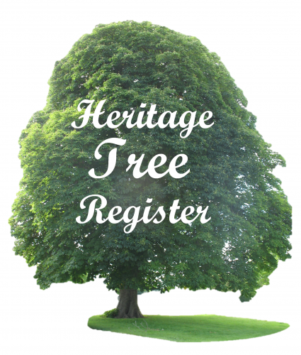 Spokane Historic Preservation Office » Spokane Heritage Trees